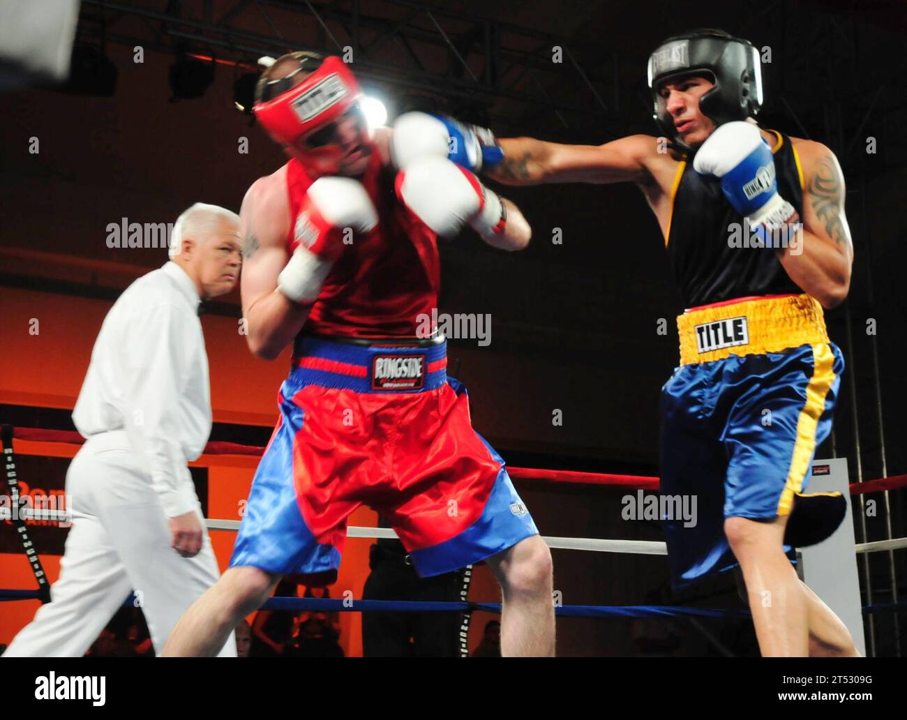 Armed Forces Boxing Championship, people, Sailors Stock Photo - Alamy