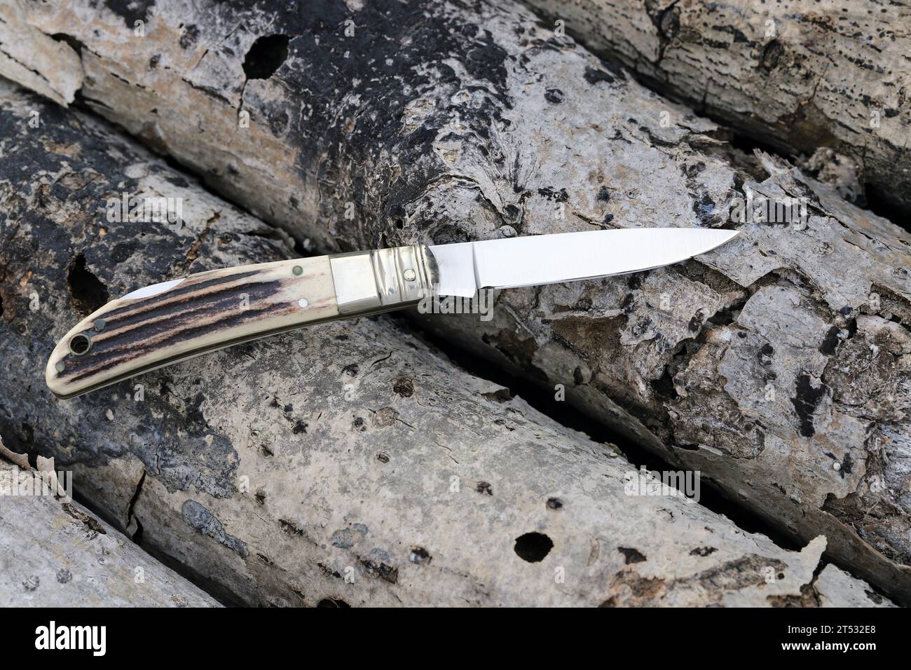 Close up photo of small folding knife on fallen tree in forest Stock ...