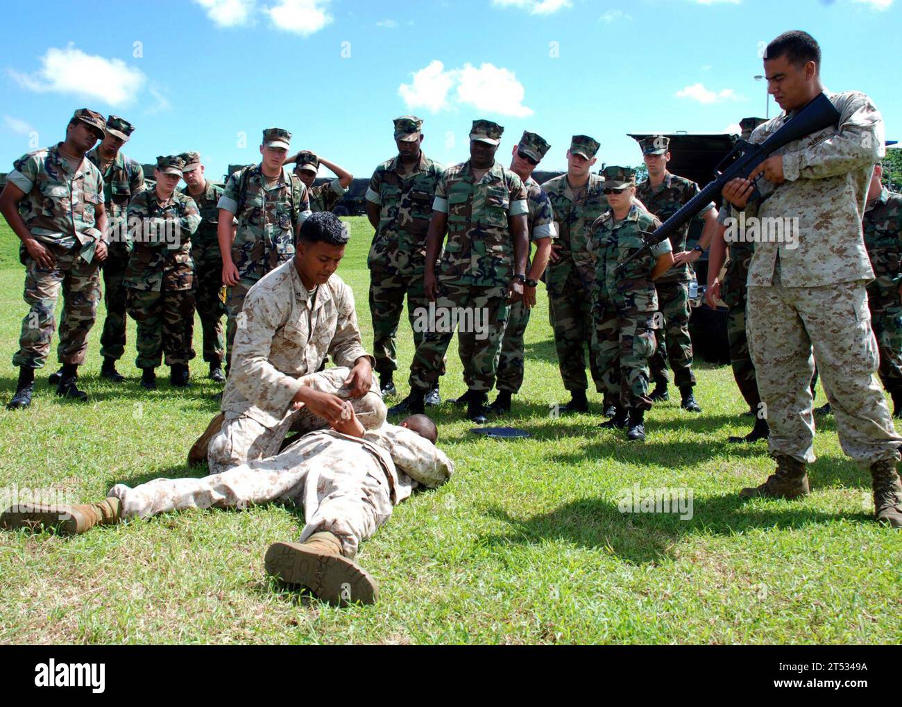 aval Mobile Construction Battalion (NMCB) 7 Seabees, training Stock ...
