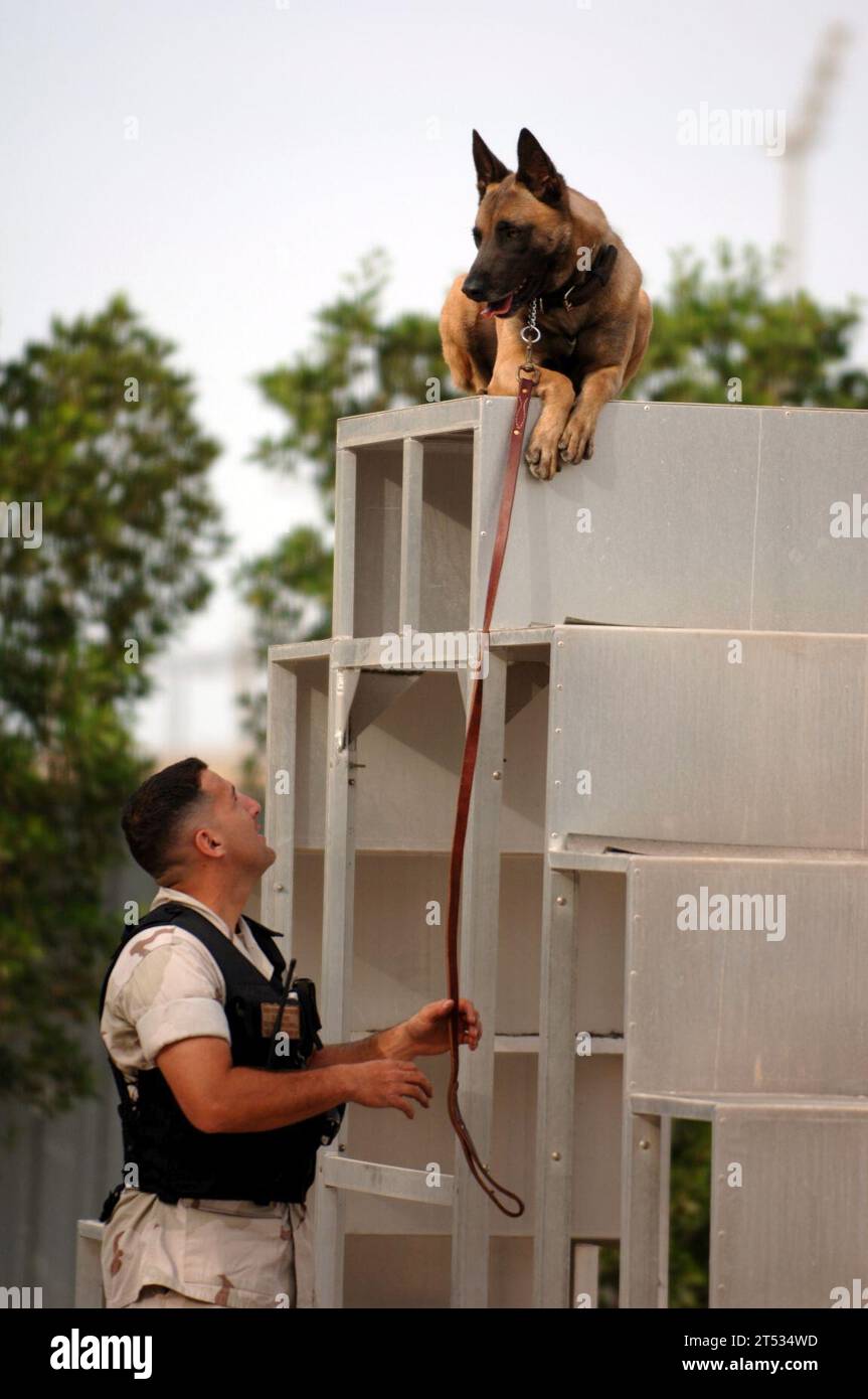 Odors detection hi-res stock photography and images - Alamy