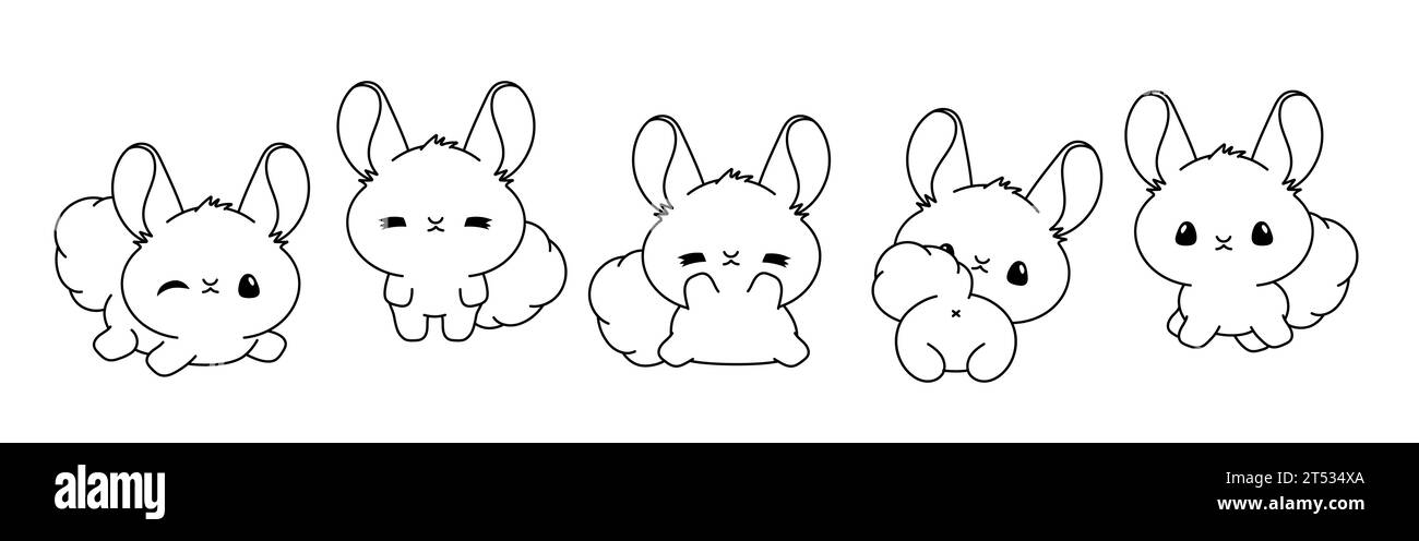 Set of Kawaii Isolated Baby Chinchilla Coloring Page. Collection of ...