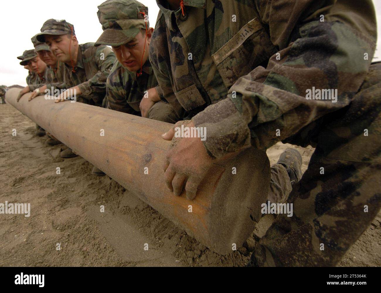 Log physical training log pt hi-res stock photography and images - Alamy