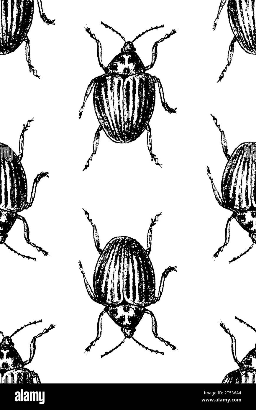 Bug. Vector hand drawn sketch illustration. Sloppy doodle grunge style ...