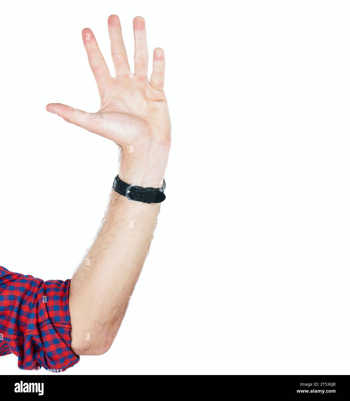 Hand, high five or man with hello, greeting or five number gesture ...