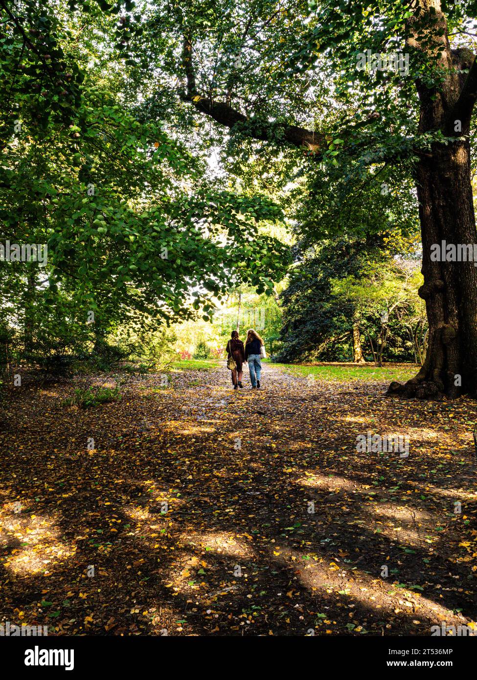 Women walking into distance hi-res stock photography and images - Alamy