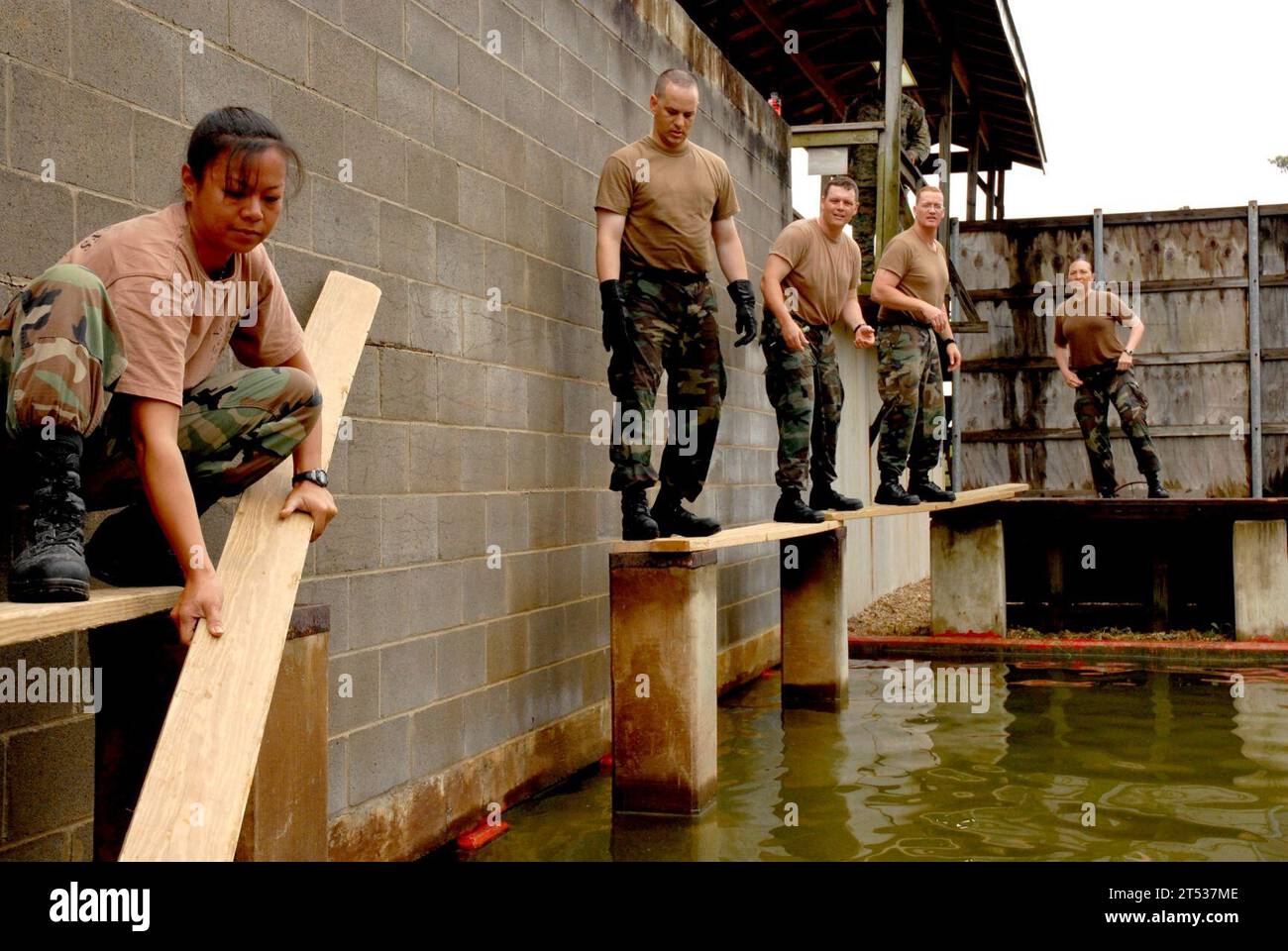 'Bees, dirt sailors, Naval Mobile Construction Battalion, navy ...