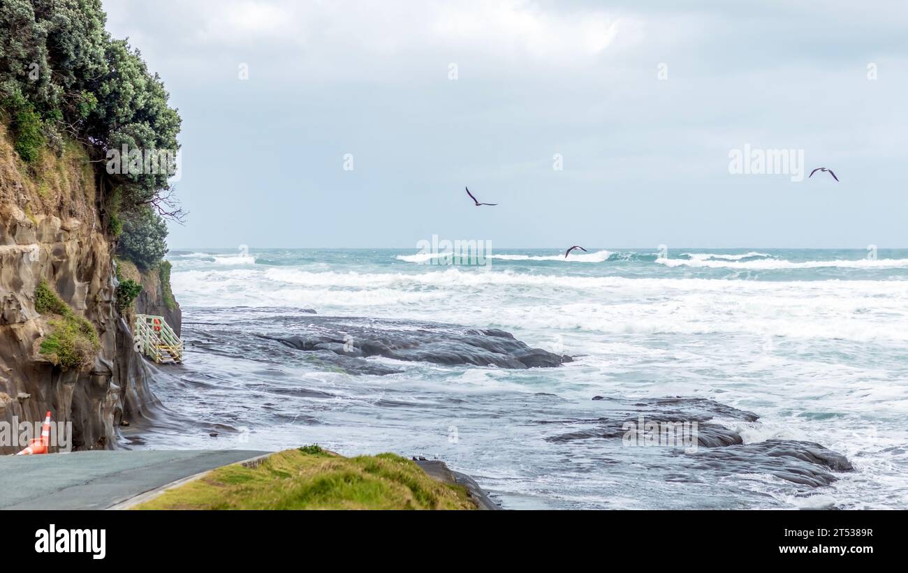 Muriwai Beach with big sea waves in bad weather: one of the Best Trails ...