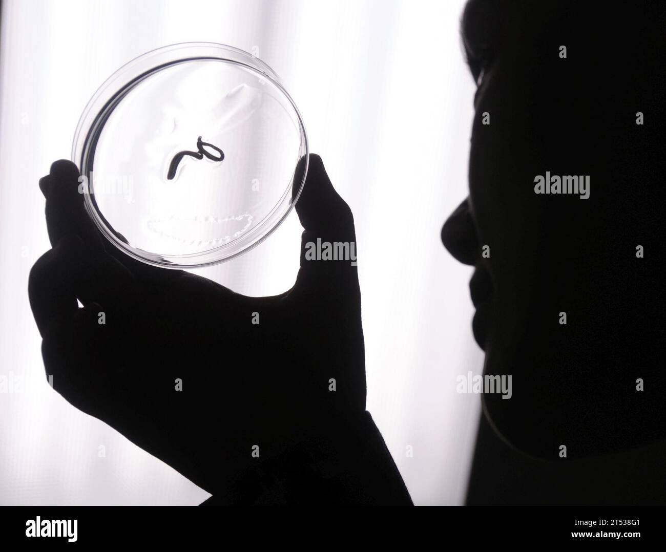 biology, bugs, Entomology, environment, environmental, Insects, navy ...