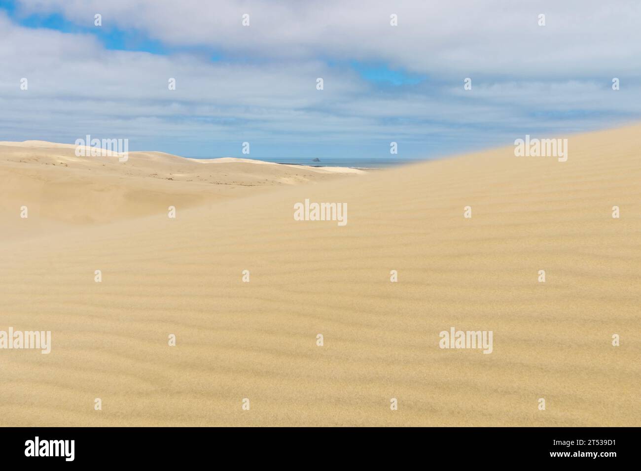 Cape Reinga Iconic Te Paki Giant Sand Dunes: A Natural Wonder and ...