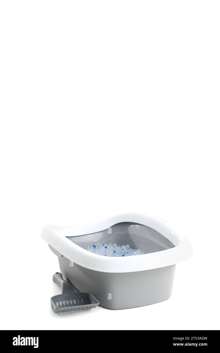 Litter box for cat with scoop on white background Stock Photo - Alamy