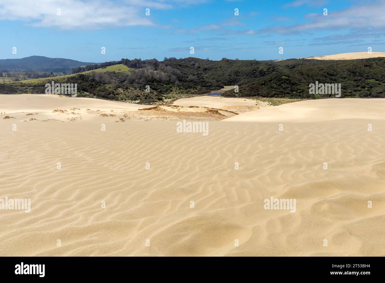 Cape Reinga Iconic Te Paki Giant Sand Dunes: A Natural Wonder and ...