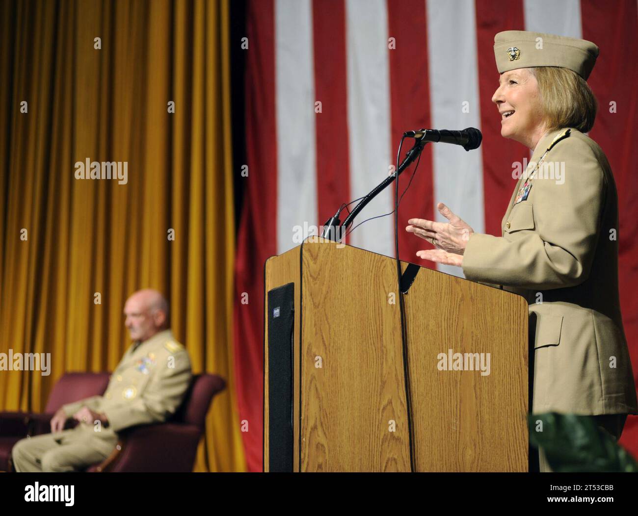 Braun, Change of Command, female, Flag, Kilkenny Stock Photo - Alamy