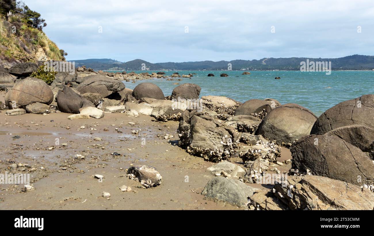 Koutu Boulders: Natural Coastal Rock Formations along Tasman Sea ...