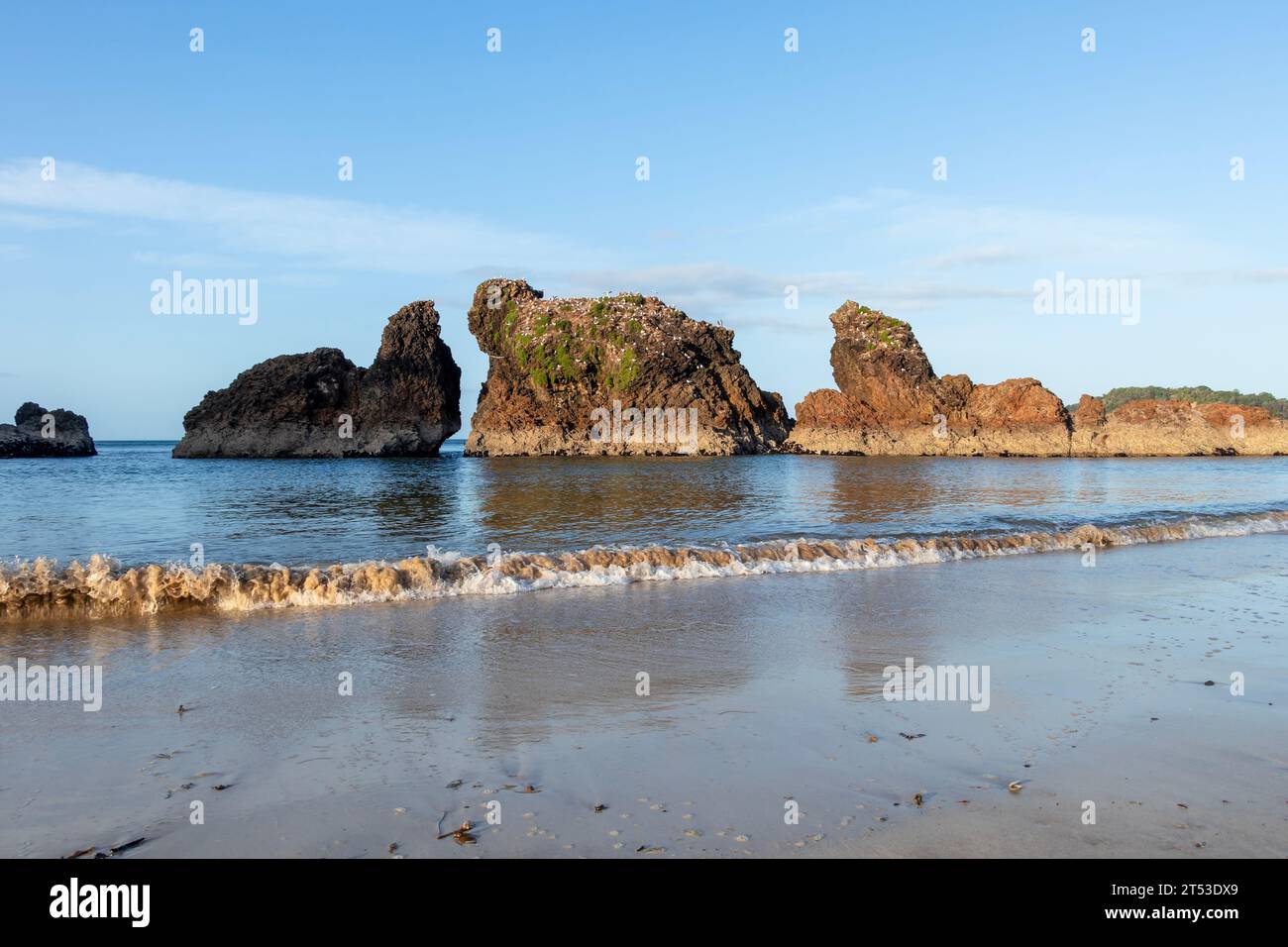 Woolleys Bay, where the beach, sunset, seagull colony, and coastal ...