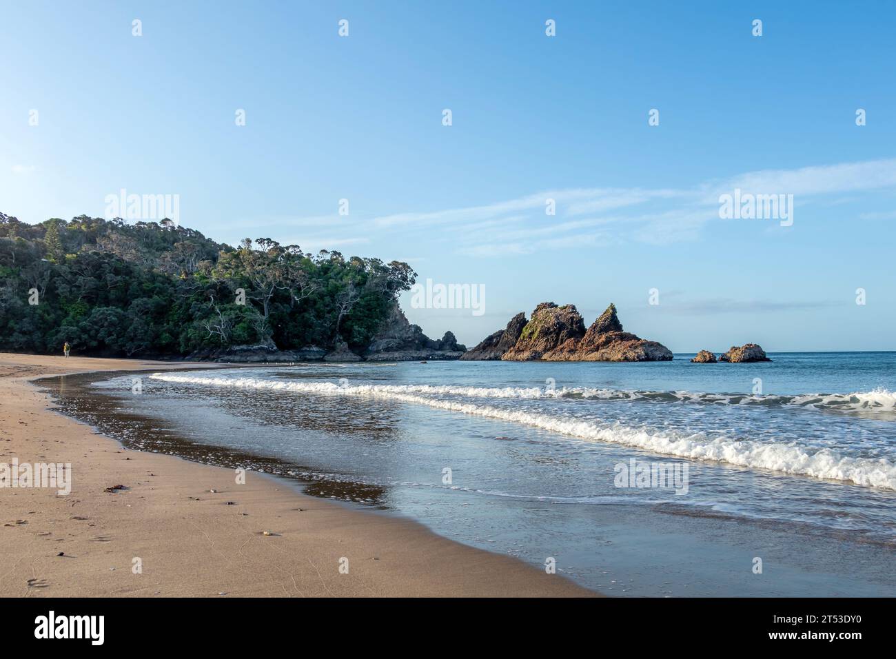 Woolleys Bay, where the beach, sunset, seagull colony, and coastal ...