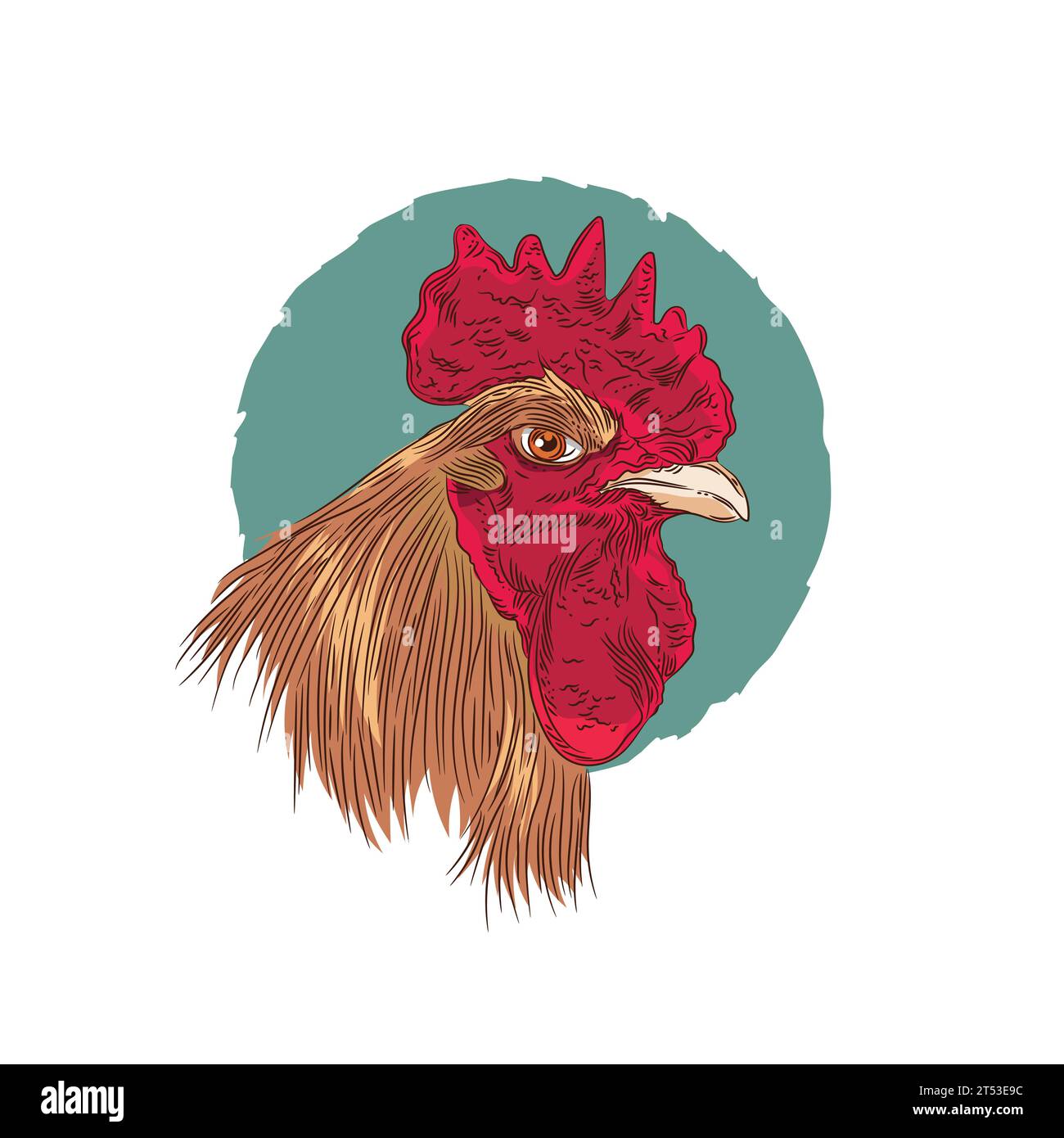 Rooster head crowing hi-res stock photography and images - Alamy