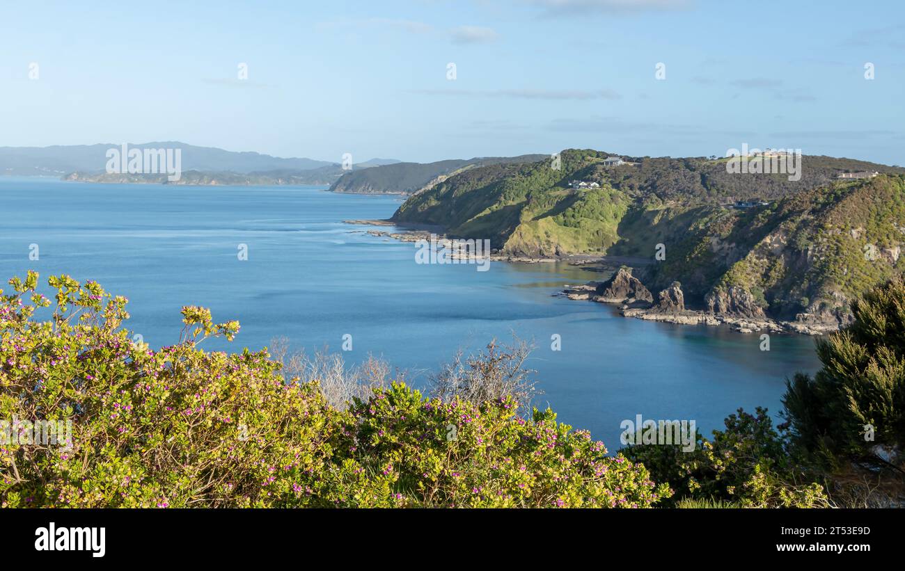 Tapeka Point's Majestic Coastline: A View from Tapeka Point Track ...