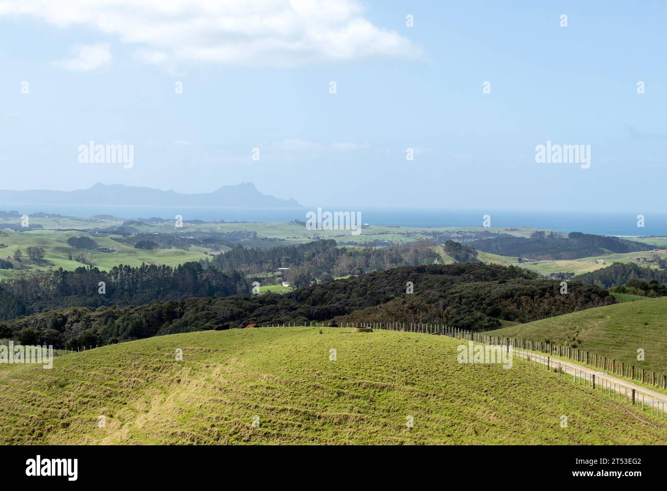 Otaika valley farmlands hi-res stock photography and images - Alamy