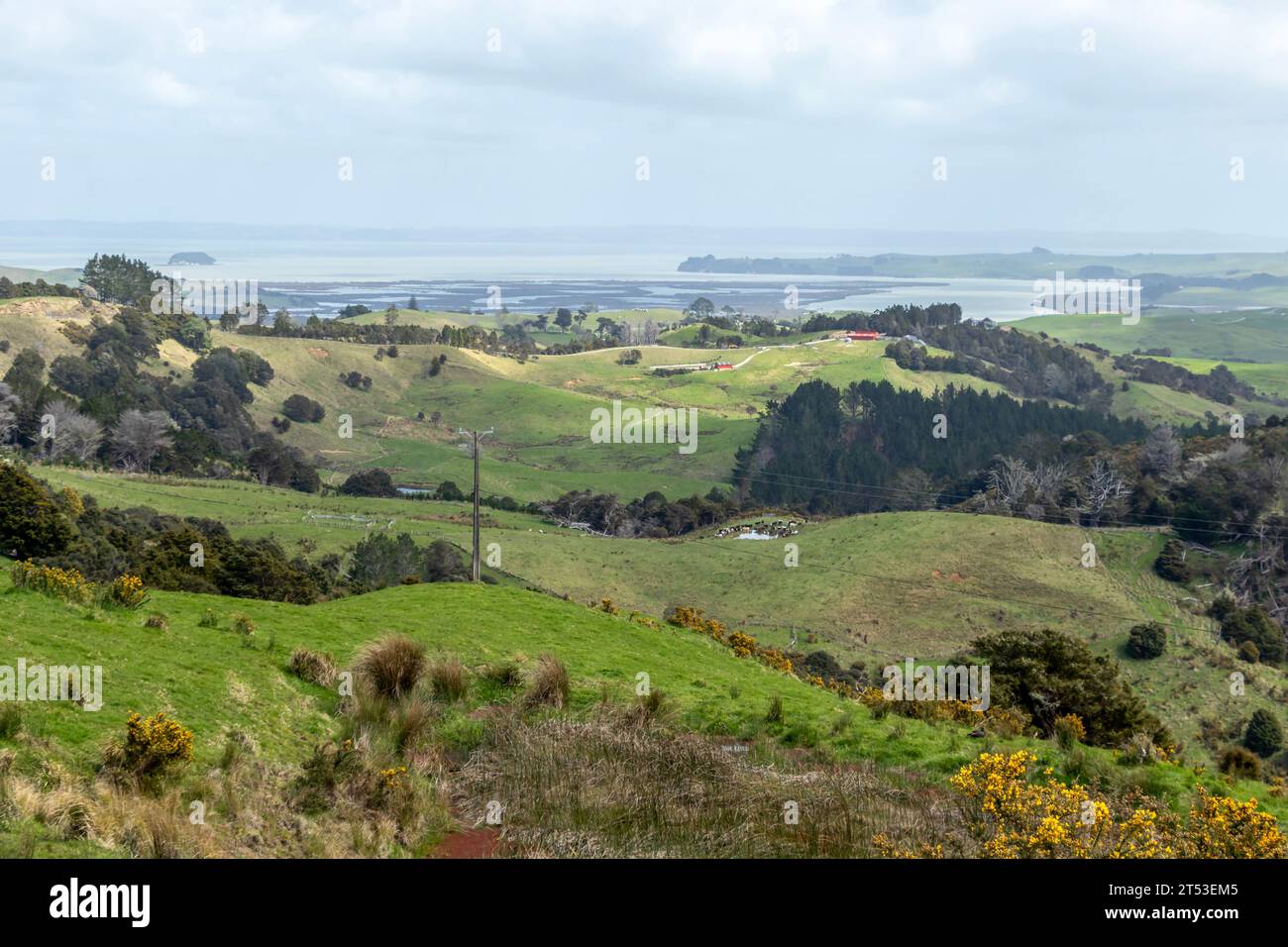 Otaika valley nature hi-res stock photography and images - Alamy