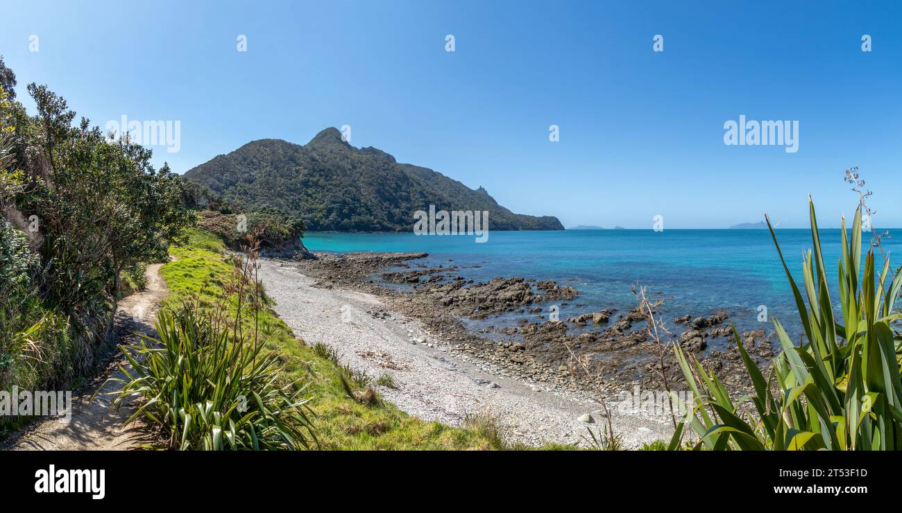 Smugglers Bay, located in the Bream Head Scenic Reserve near Whangārei ...