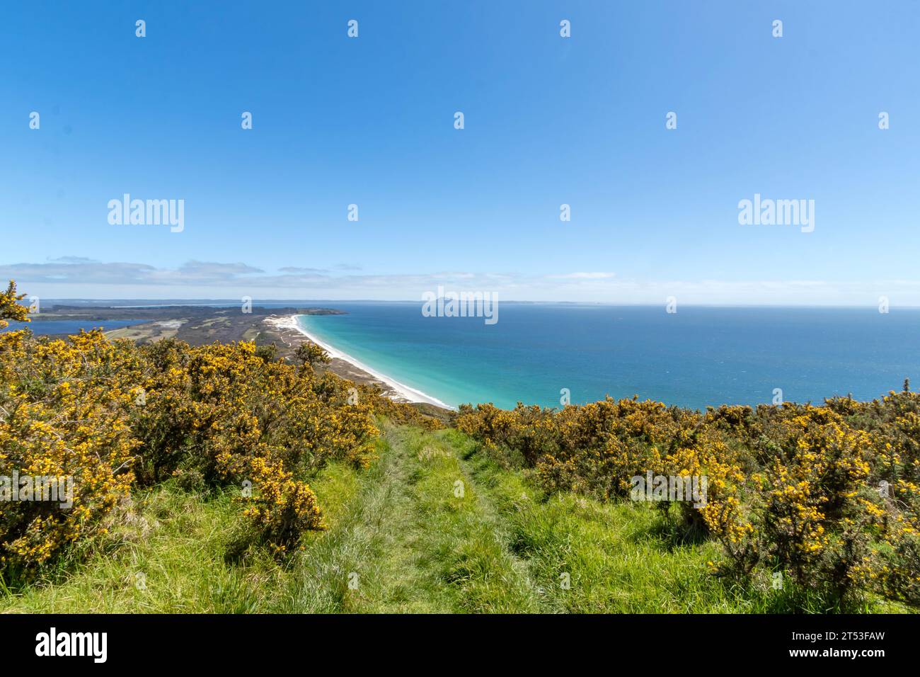 Puheke Lookout: Iconic Meeting of Native flora and Blue Sea Waters ...