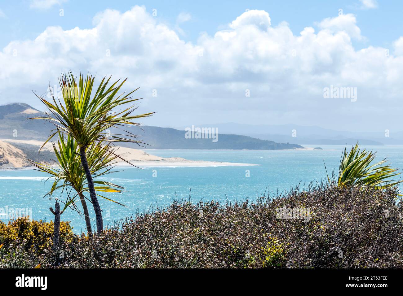 Omapere Signal Station Track: Exploring the spectacular views of the ...