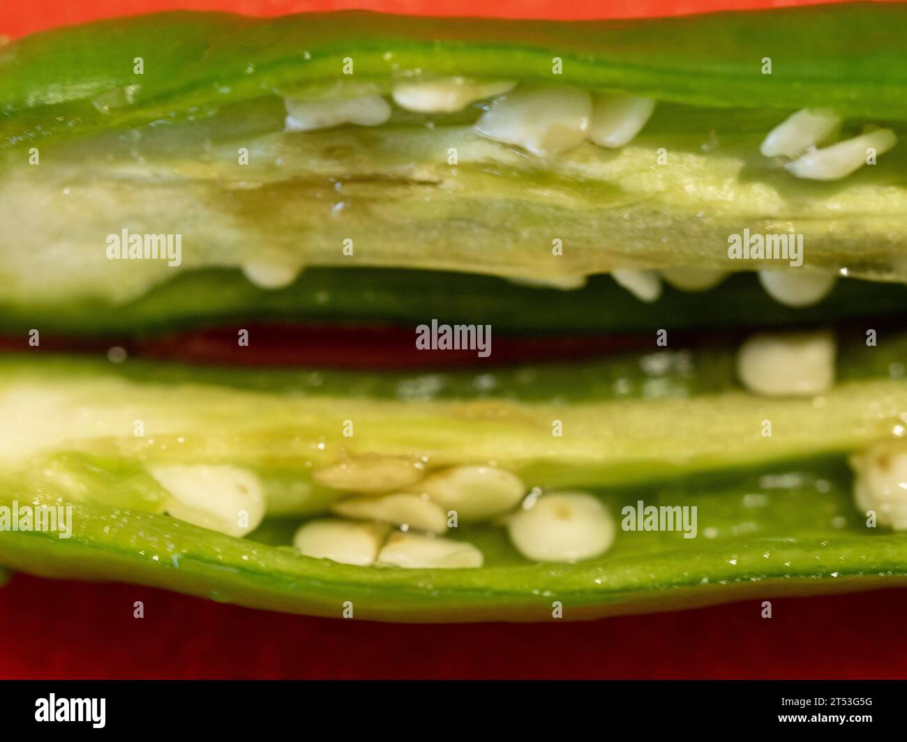 Red chilli cut in half hi-res stock photography and images - Alamy