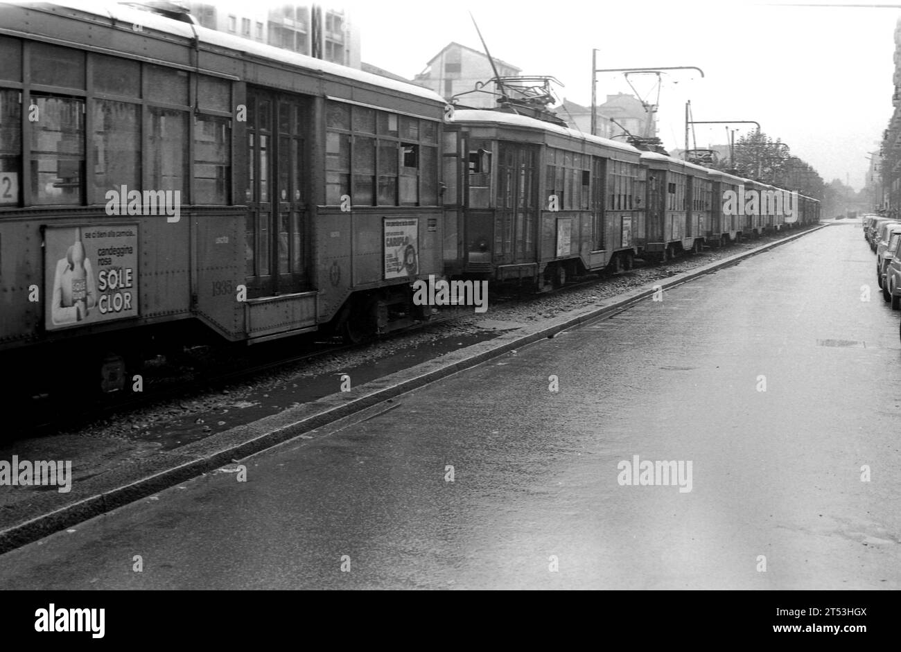 2023 tail Black and White Stock Photos & Images - Alamy