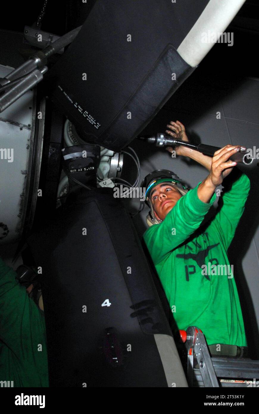 Carrier Airborne Early Warning Squadron (VAW) 117, E-2C Hawkeye, green ...