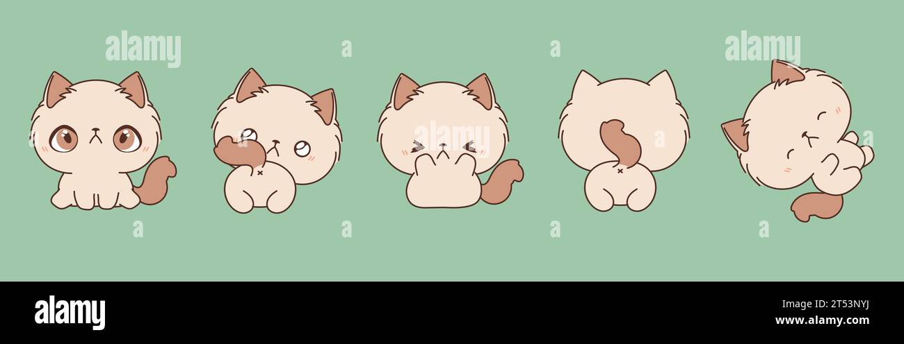Set of Kawaii Isolated Ragamuffin Cat. Collection of Vector Cartoon ...