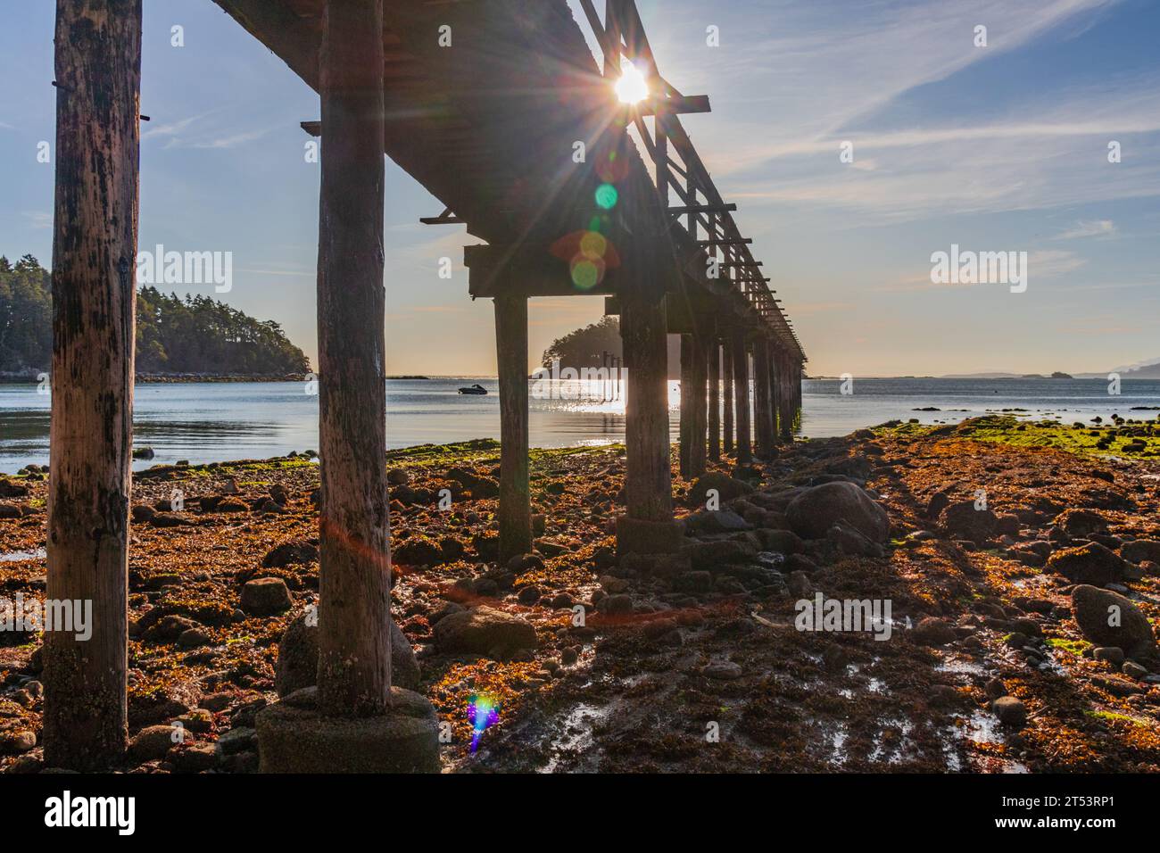 Southern gulf islands hi-res stock photography and images - Alamy