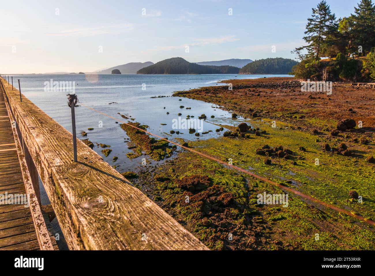 Pier in the early morning in summer on Mayne Island, BC, Canada. Pier ...