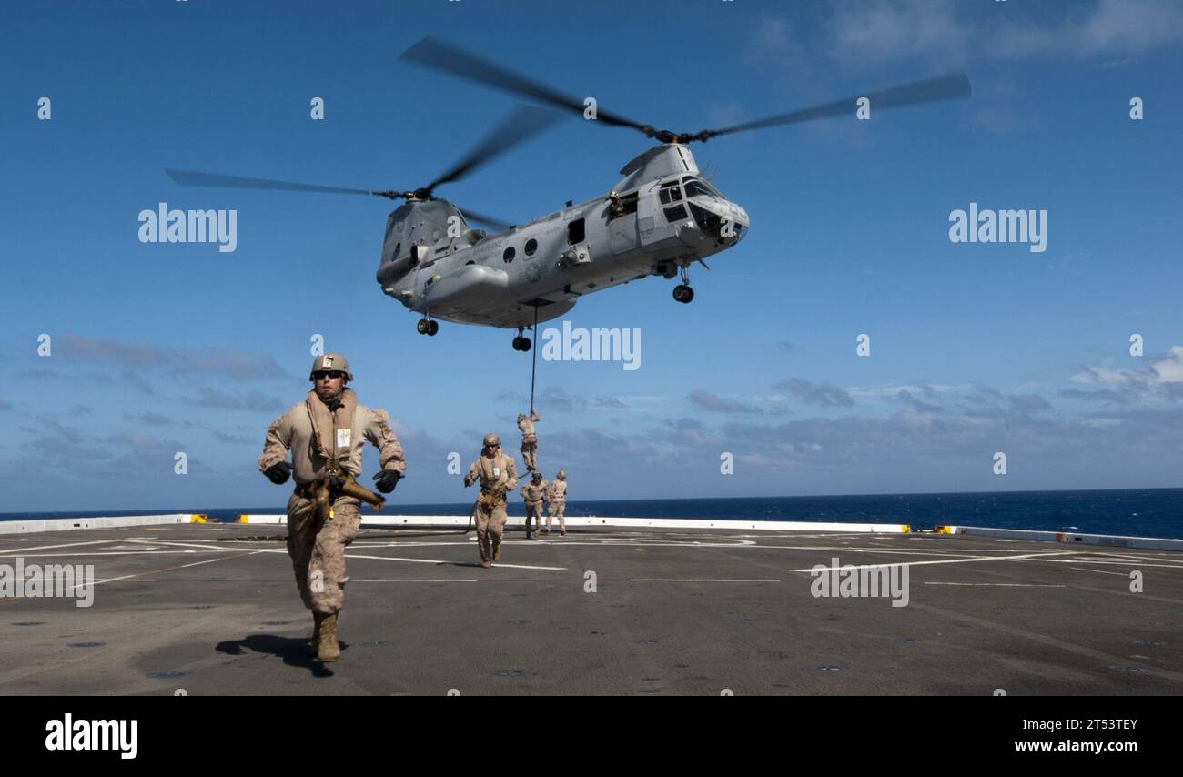 Vert rep hi-res stock photography and images - Alamy