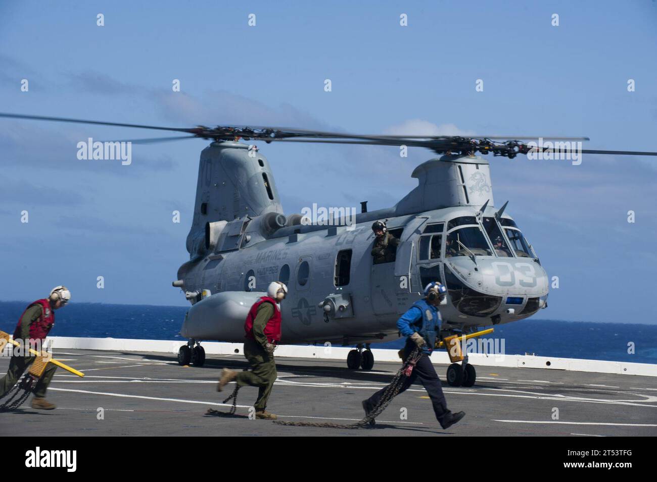 Vert rep hi-res stock photography and images - Alamy