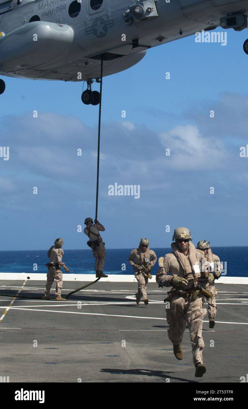 Vert rep hi-res stock photography and images - Alamy