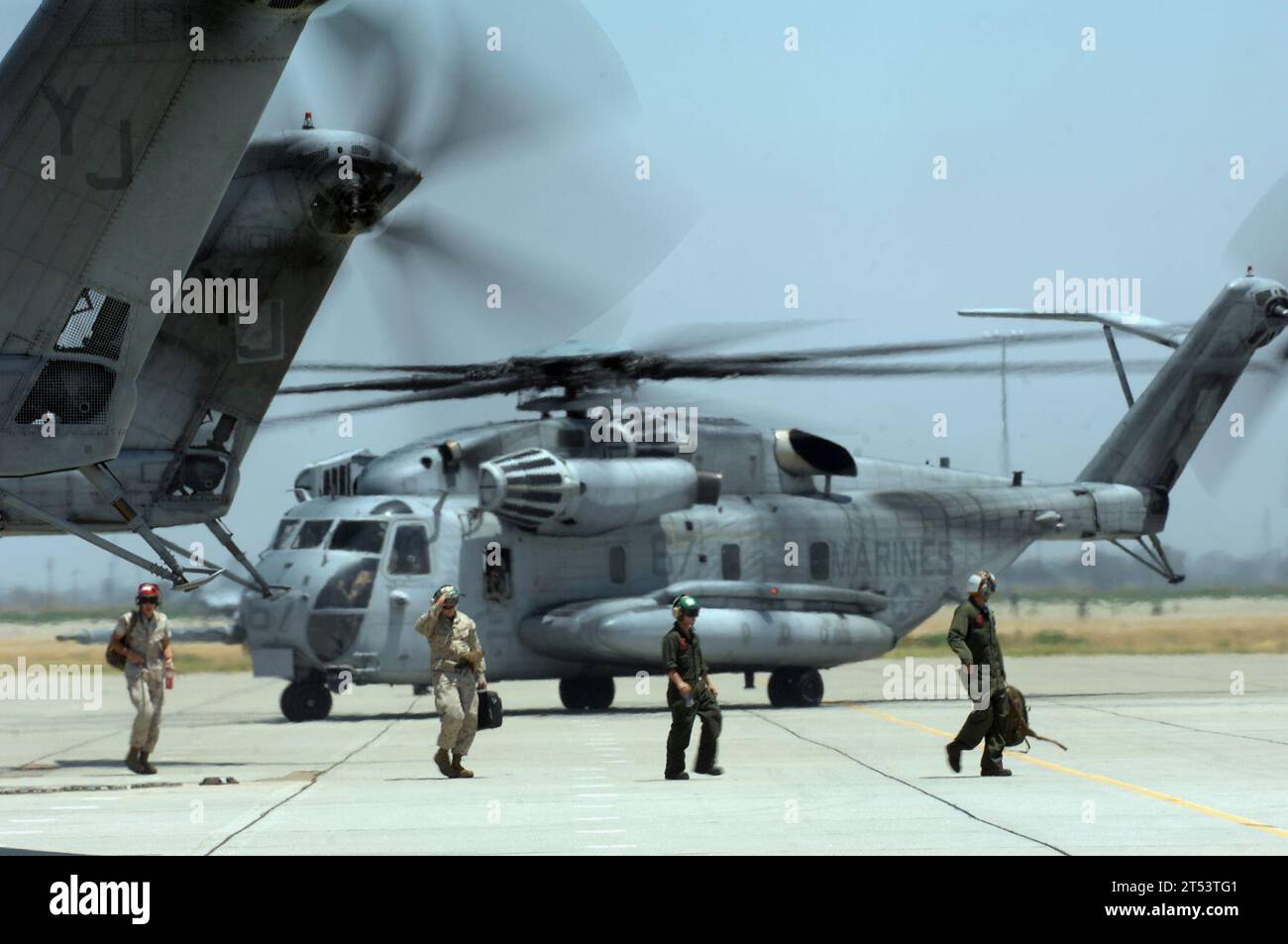 Phrog hi-res stock photography and images - Alamy