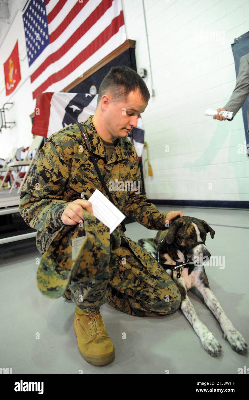 Charleston, marine, Naval Consolidated Brig, S.C., Service Dog, service ...