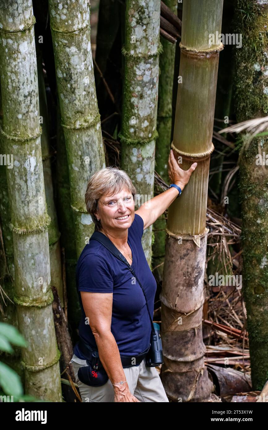 Female tourist facing to camera and leaning on bamboo trunk, Itatiaia ...