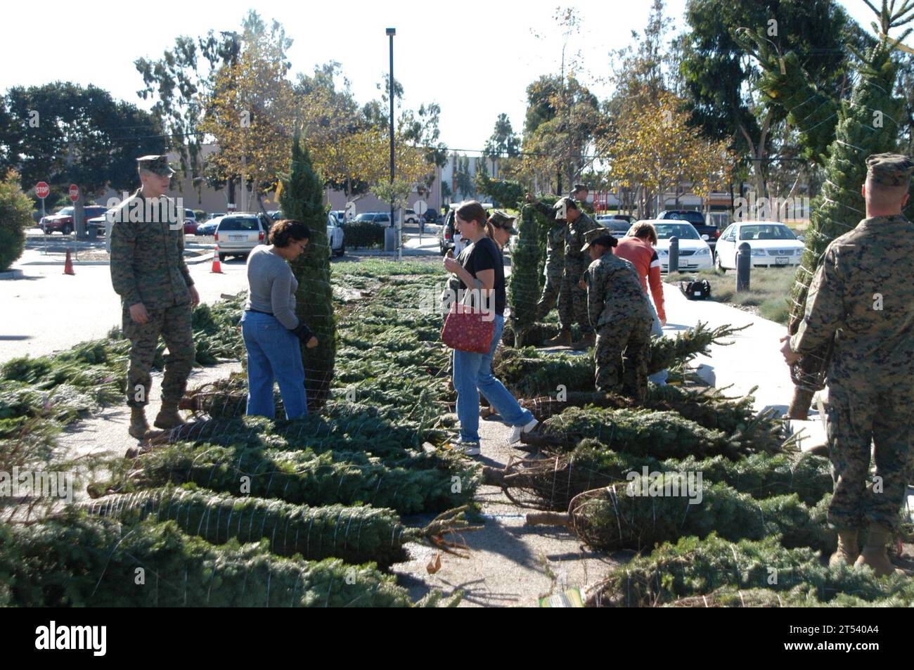 christmas spirit, christmas trees, families, fedex, Foundation, Marines ...