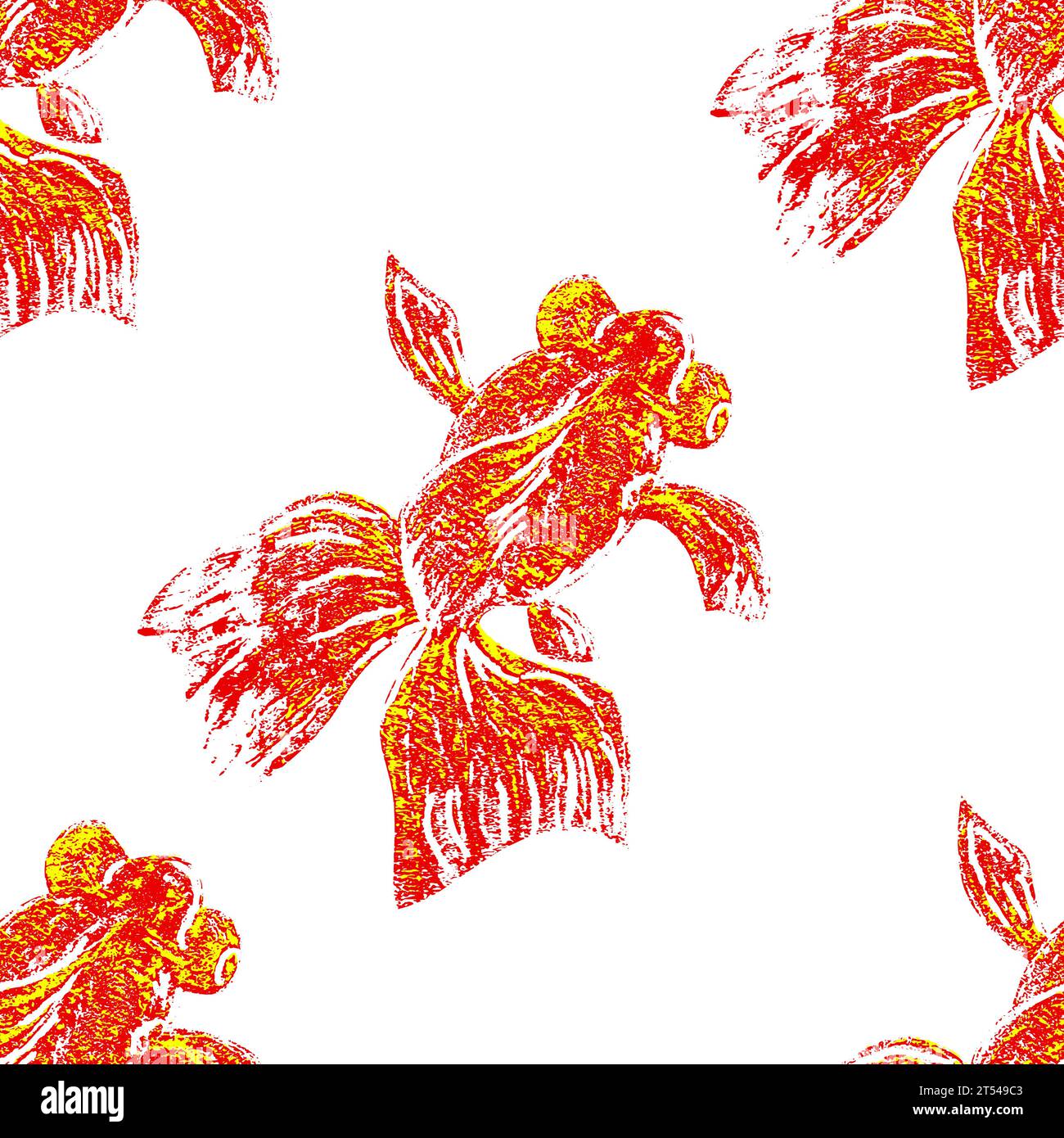 Koi fish isolated of white. Asian of Japanese and Chinese koi carp ...