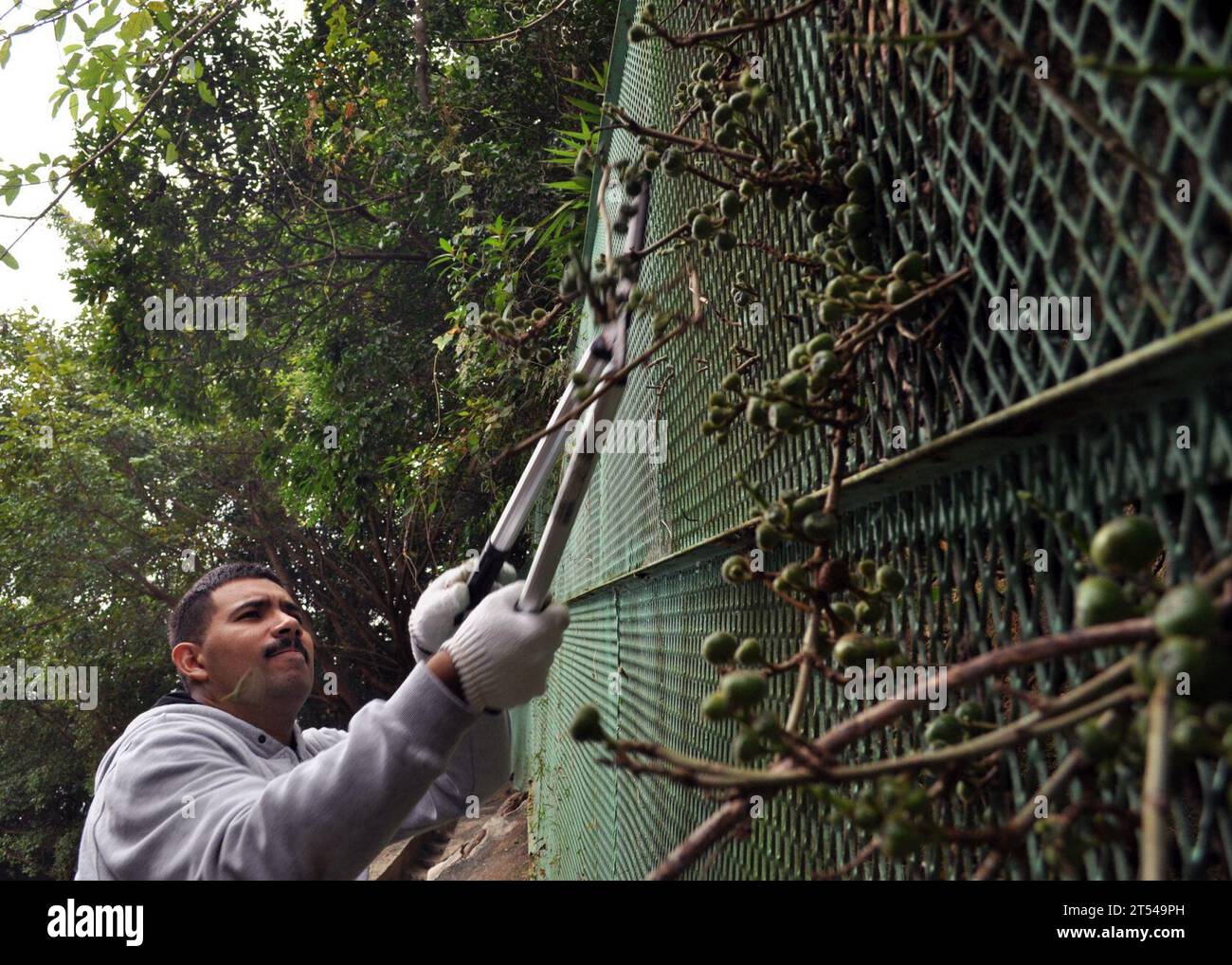 Community Service, Sailor, tree, U.S. Navy, USS Denver (LPD 9 Stock ...