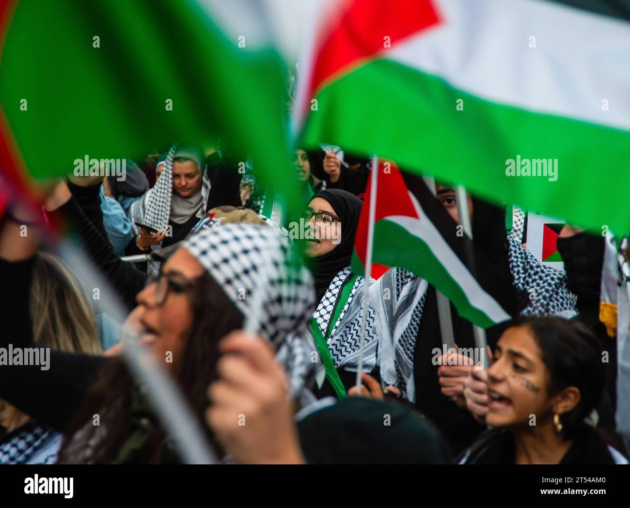 Protesters wave flags while chanting slogans in front of a monument ...