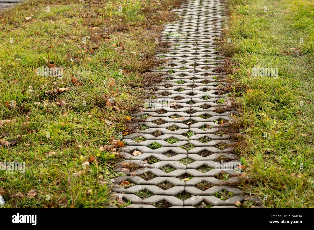 a tiled footpath with pattern in a park, outdoor shot, no people Stock ...