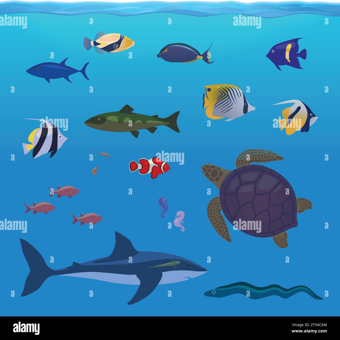 Cartoon clown fish beautiful underwater Stock Vector Images - Alamy