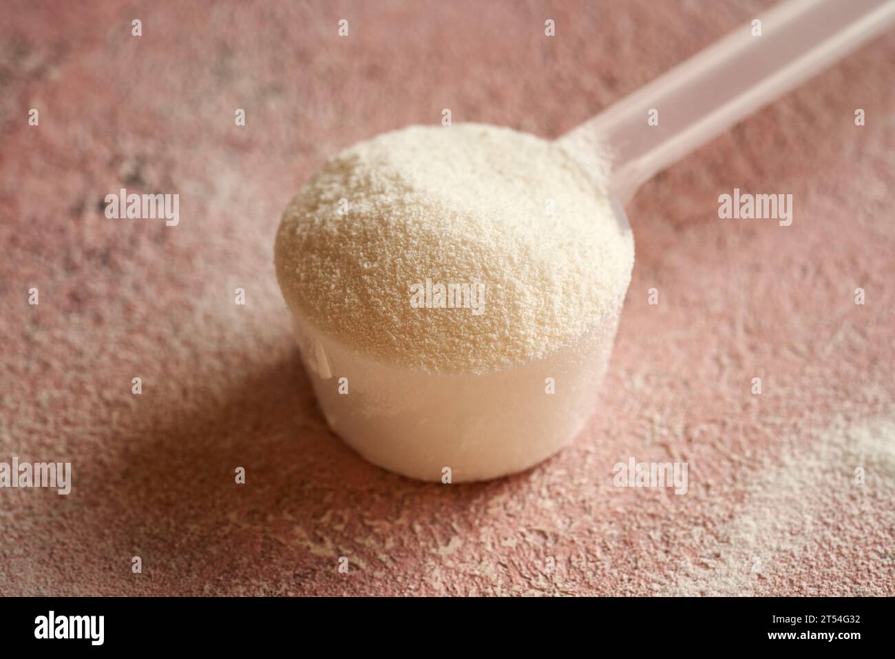 Collagen powder in a plastic measuring cup, closeup Stock Photo - Alamy