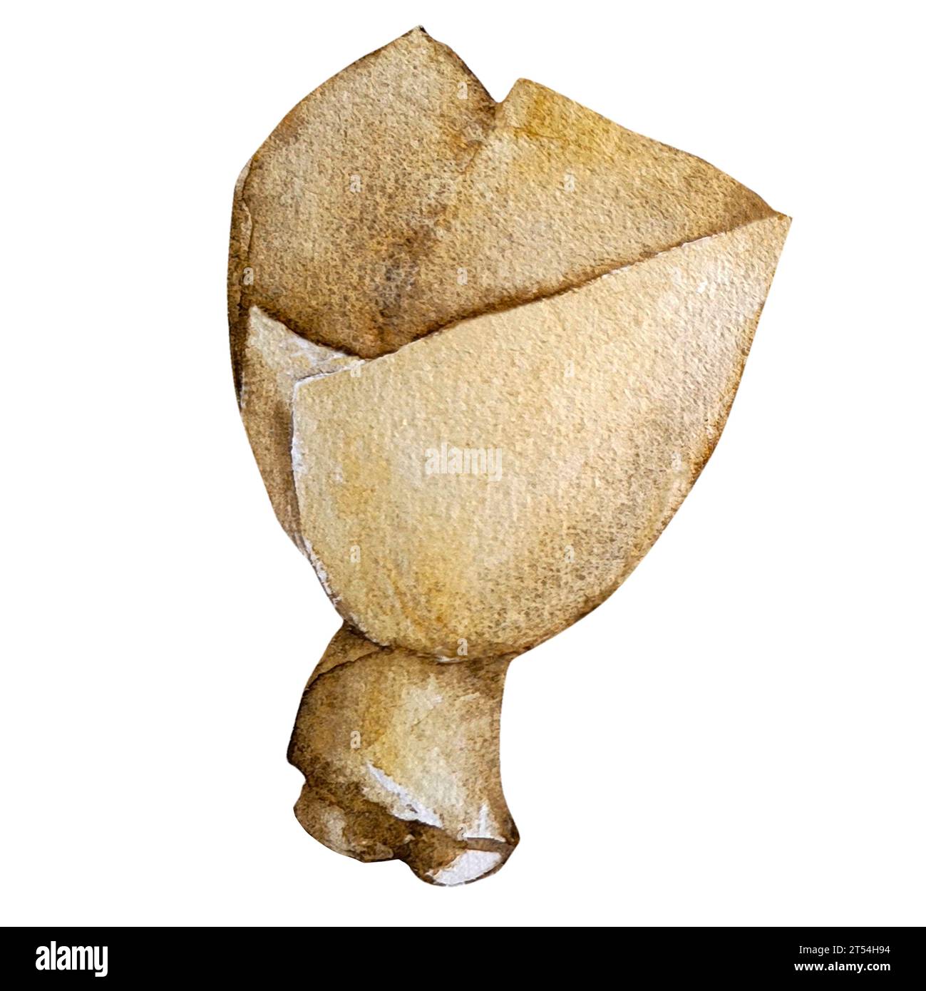 Wrapper, packaging, paper bag for a bouquet of flowers. Watercolor ...