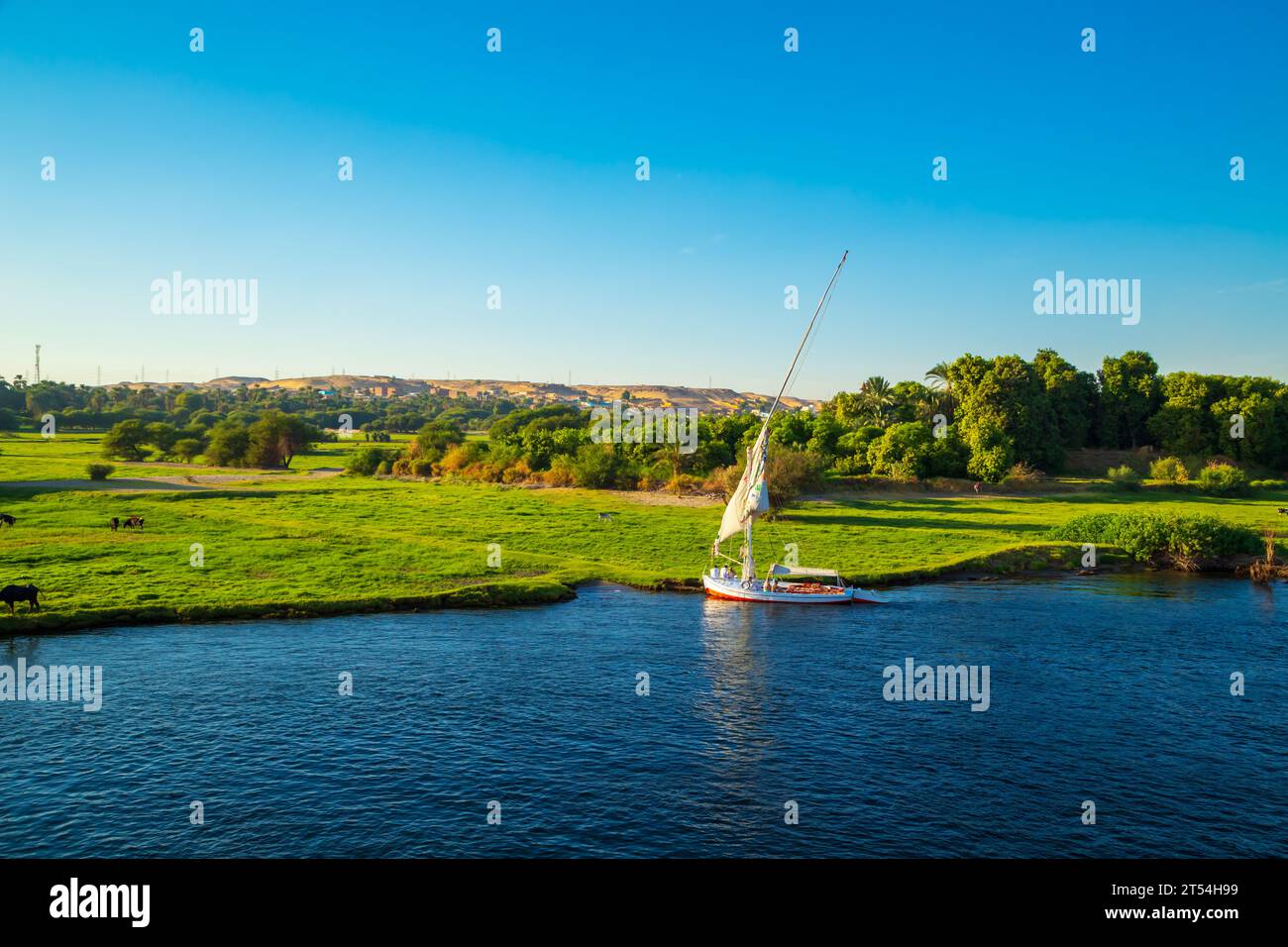 Traditional felucca boat on the Nile River. Magnificent views of the ...