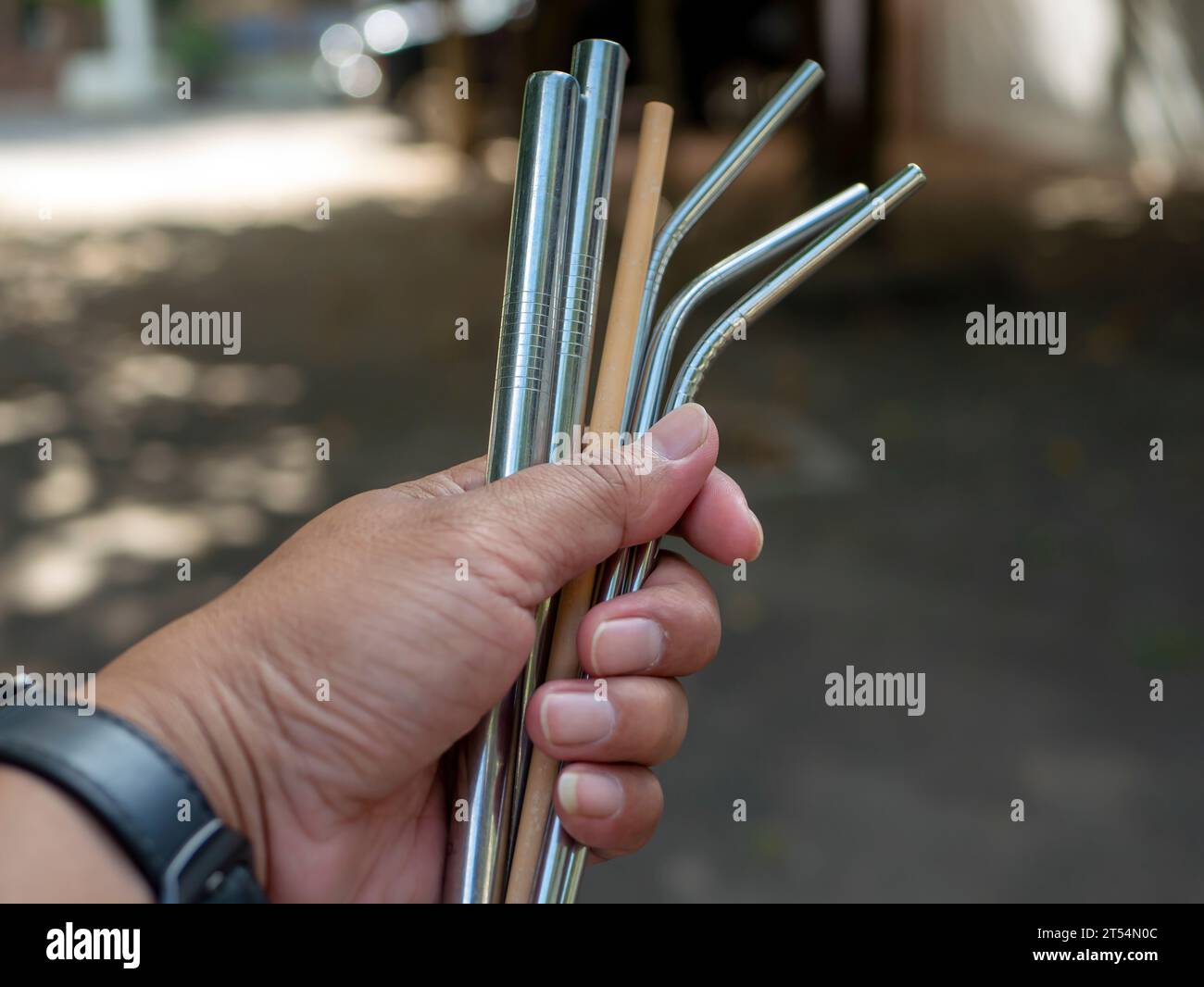 A hand holding bamboo and steel straws, an alternative to reducing ...