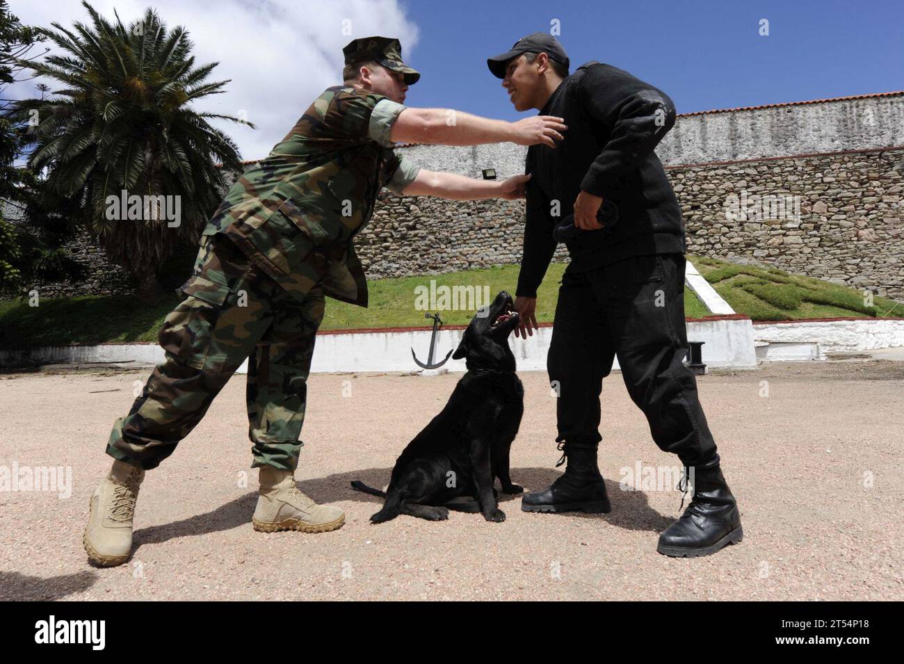 Navy dog handler military hi-res stock photography and images - Alamy