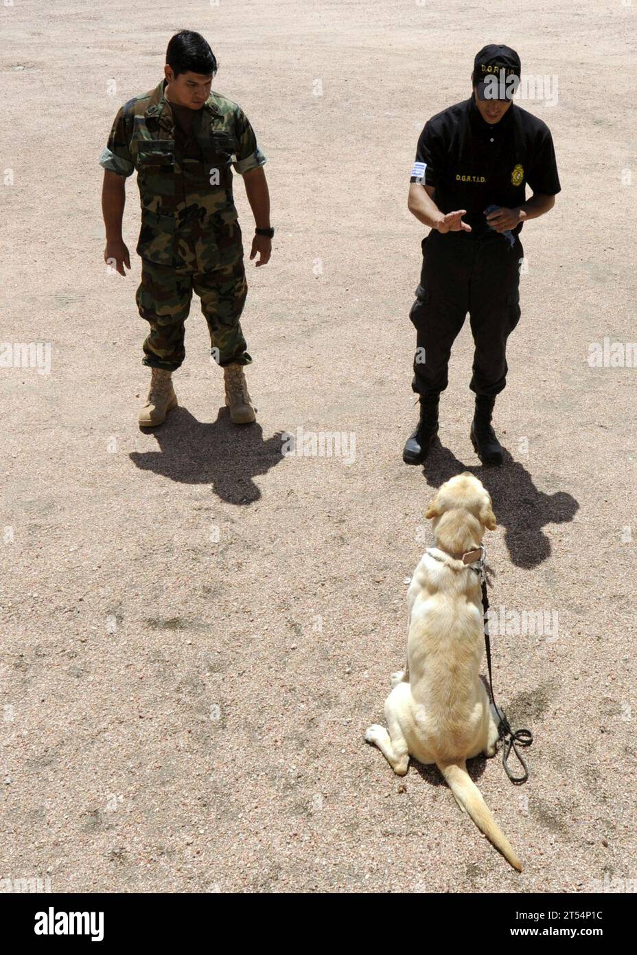 Dog handler, MCAST, Military Working Dog, mwd, navy, Partnership ...